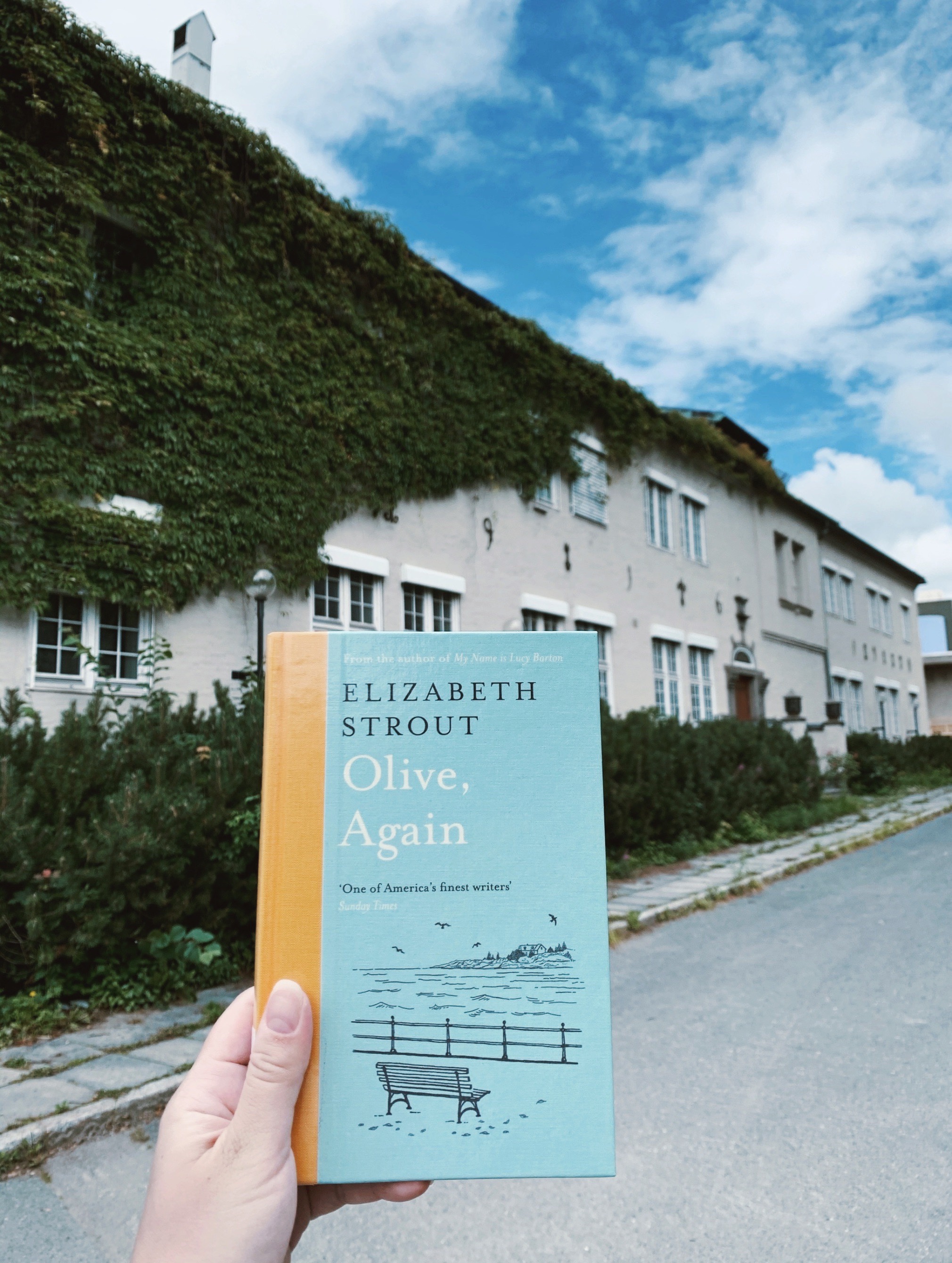 Book Review – Olive Kitteridge and Olive, again by Elizabeth Strout ...